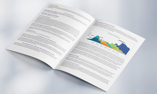 Synopsys Licensing QuickStart Guide