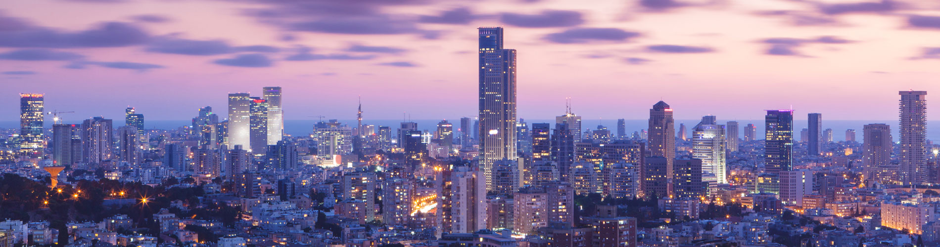 ARC Processors Executives | Processor IP | DesignWare IP | Synopsys