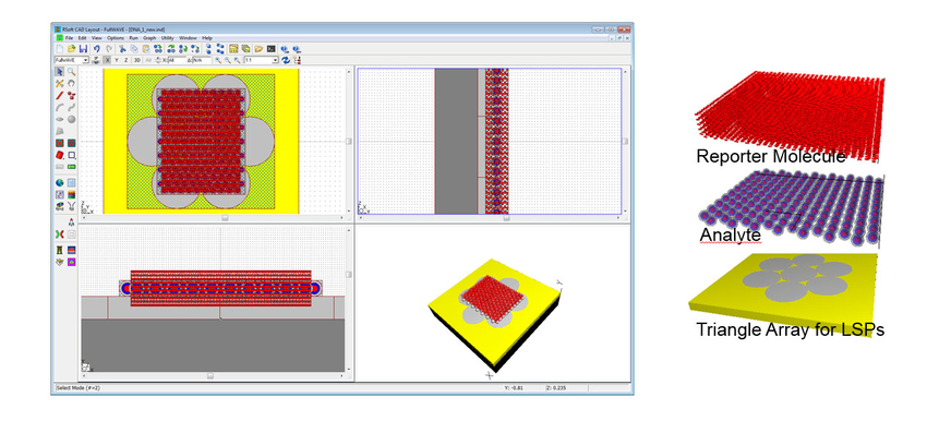 Surface-Enhanced Raman Scattering Sensors | Synopsys