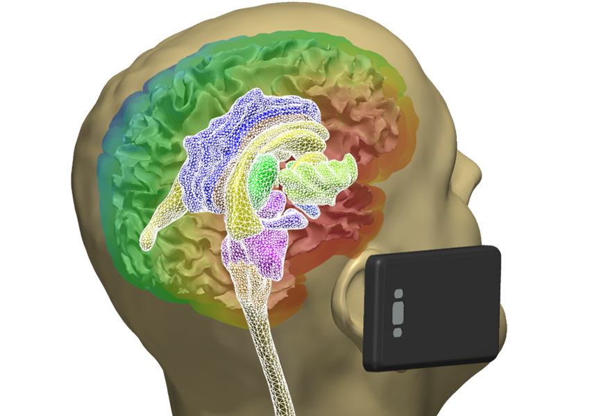 What are 3D Anatomical Models and How Do they Work? | Synopsys
