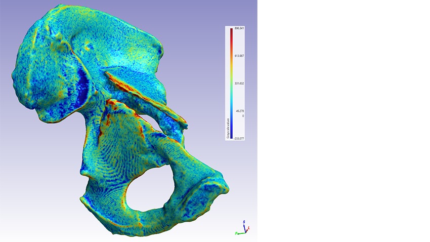 3D Printing Toolkit with Simpleware ScanIP | Synopsys