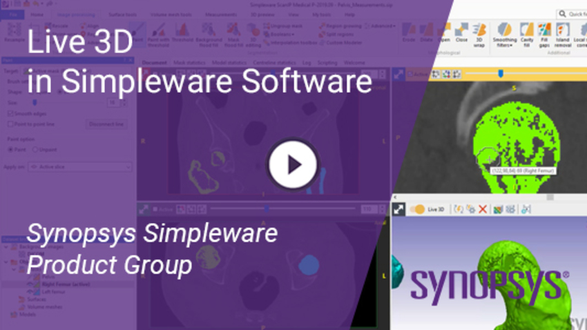 3D Image Processing Training Courses - Simpleware | Synopsys