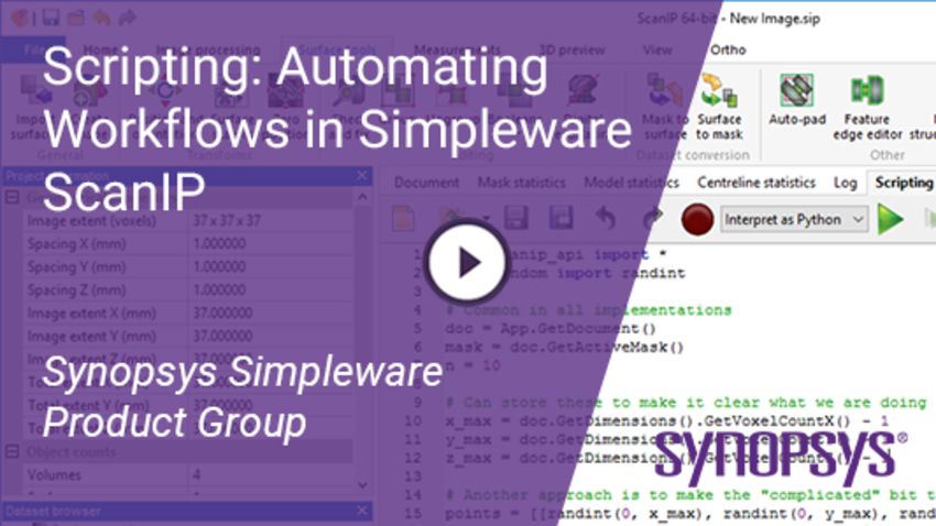 3D Image Processing Training Courses - Simpleware | Synopsys